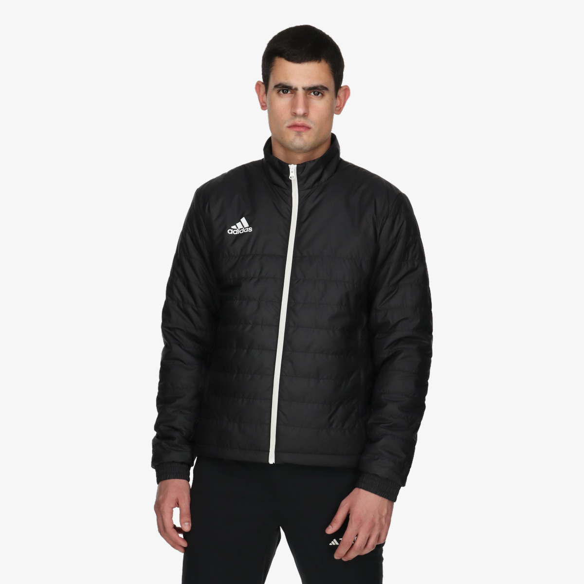 adidas Jacheta ENTRADA 22 | SportVision Romania