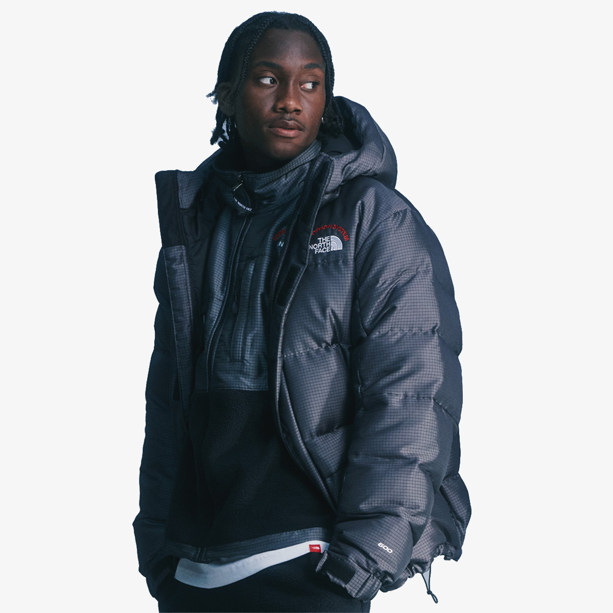 The North face Jacheta M HMLYN 30 ANNIVERSARY PARKA | SportVision Romania